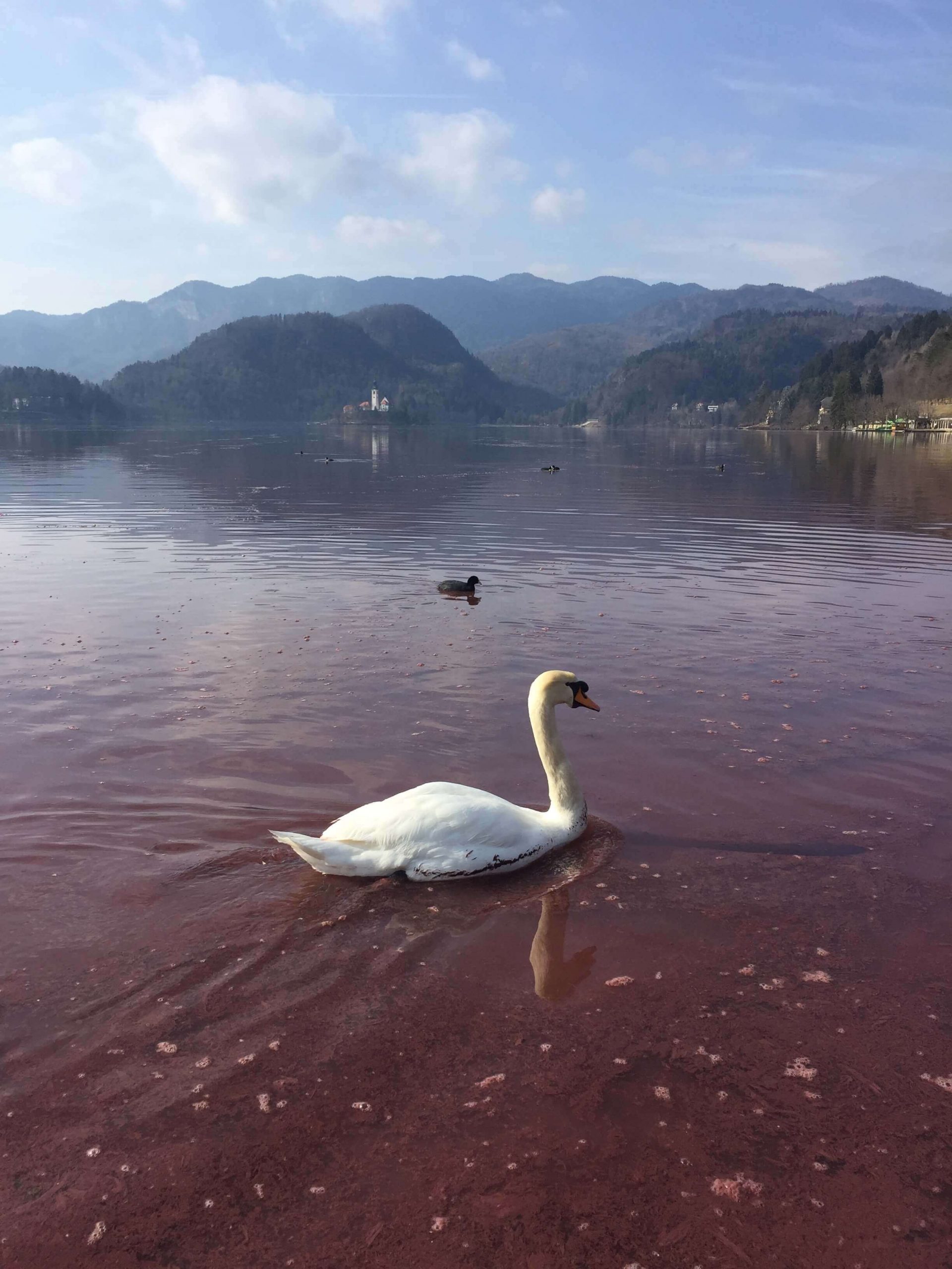 slovenija, bled, bledsko jezero, ljubljana, sta videti u sloveniji ...